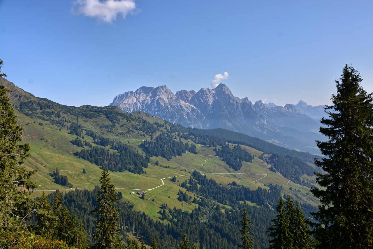 Top Things to Do in Saalbach-Hinterglemm in Summer – Inspire Your Trip